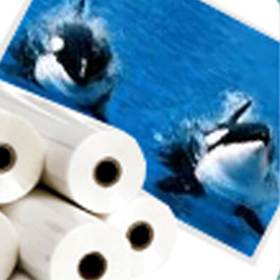 Inkjet Adhesive Backed Vinyl Media Products - LaminationKing.com